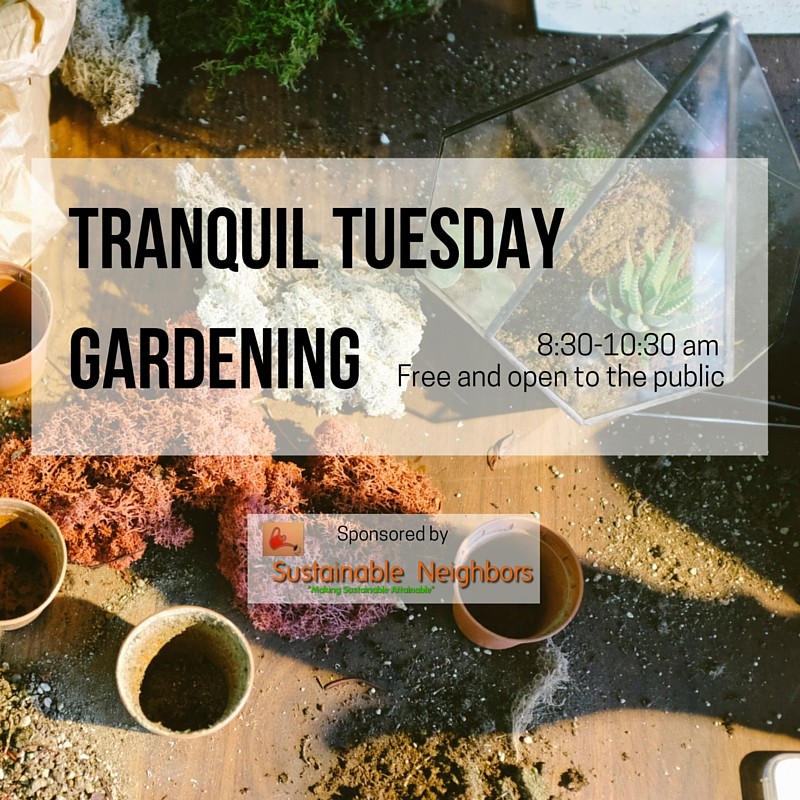 Tranquil Tuesday Gardening - Guiding Wellness